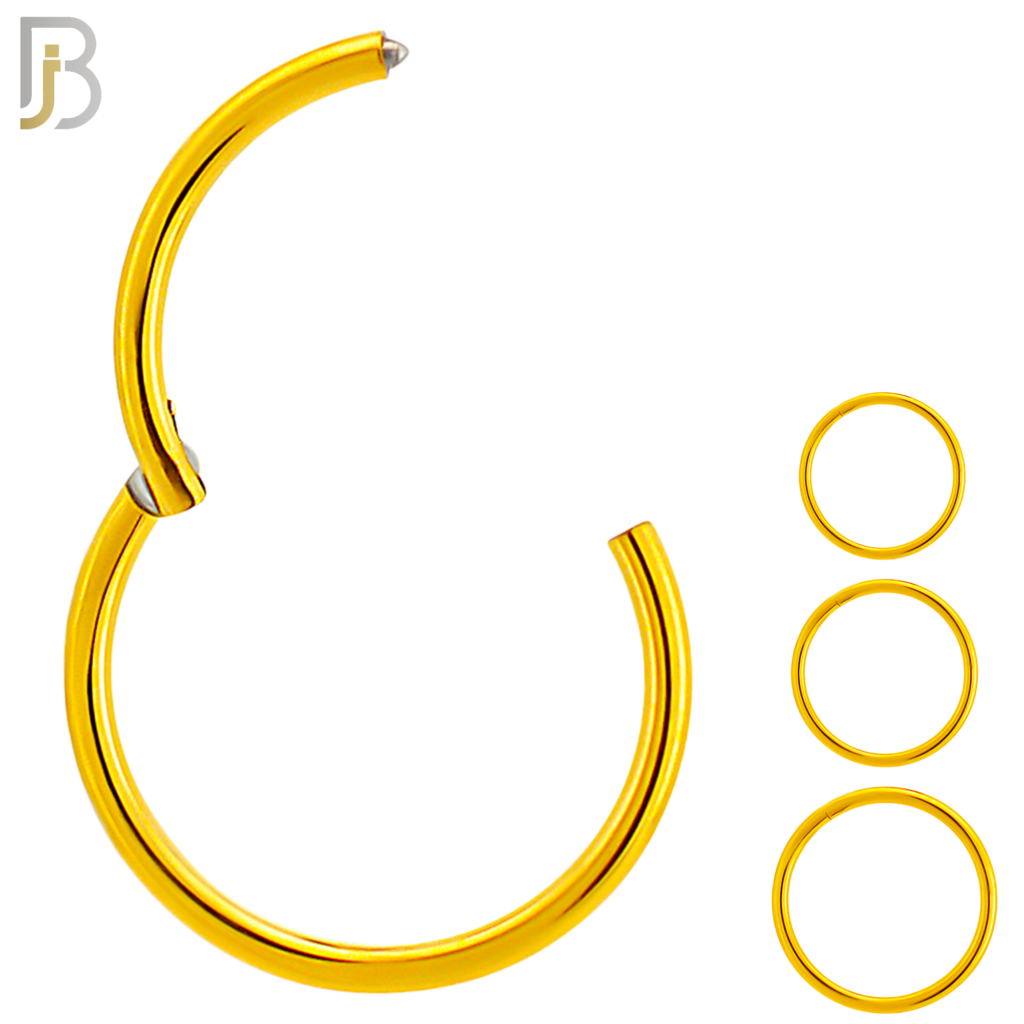 16g Thickness Surgical Steel Hinged Hoops Plain | Body Jewelz